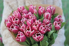 Tulpen | fromhollandwithlove.nl
